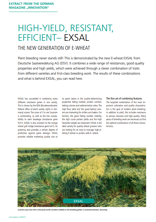 DSV | Cereals