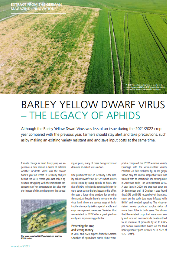 DSV | Cereals