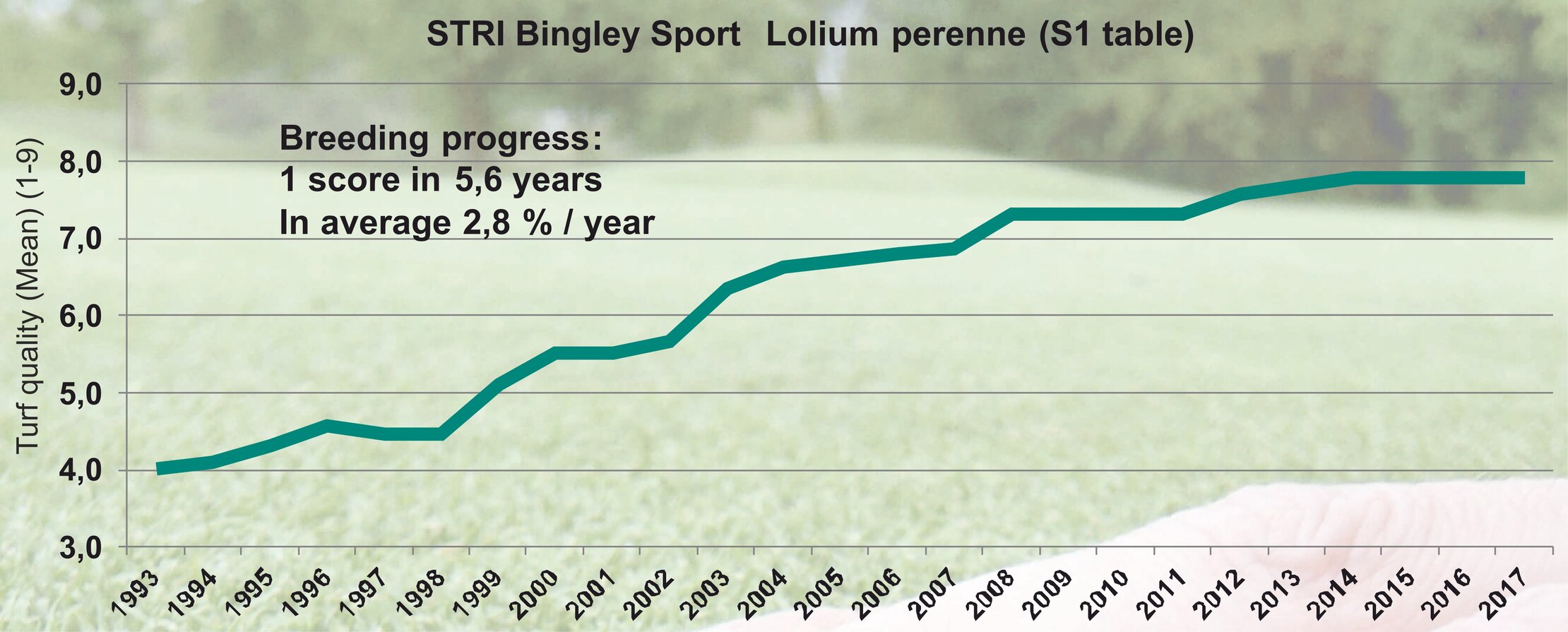 DSV | Turf Grass Breeding